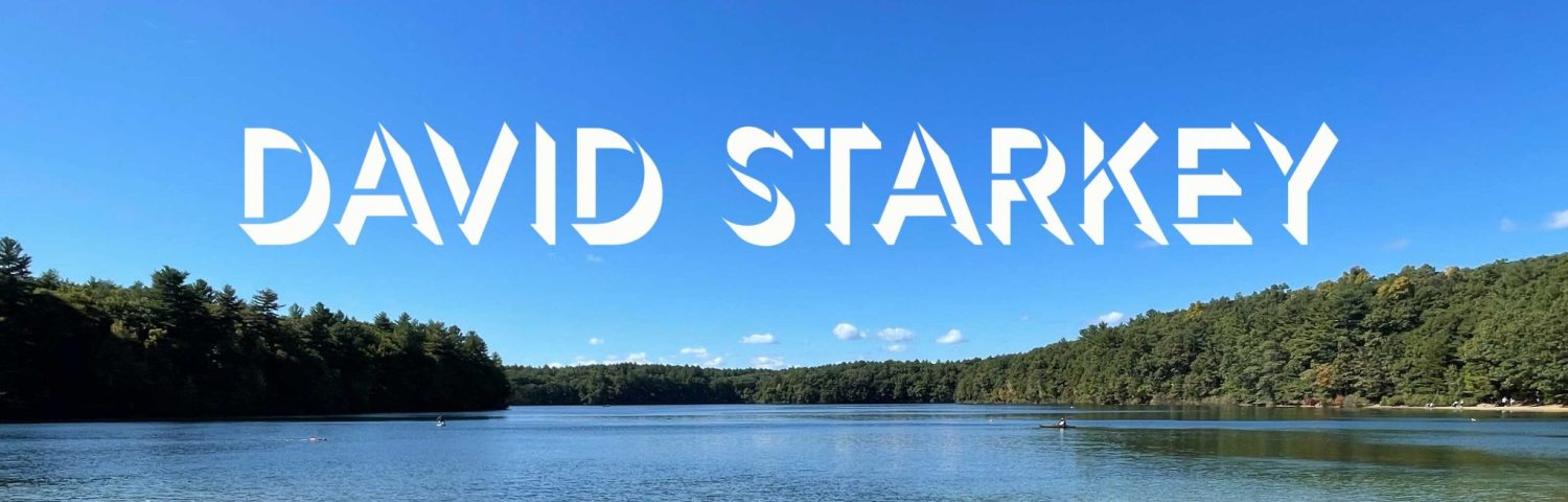 Academic Writing Now – David Starkey